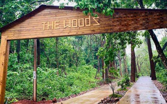 Best Stays in Maredumilli | Rooms & Cottages from ₹4,500 - Maredumilli Stay